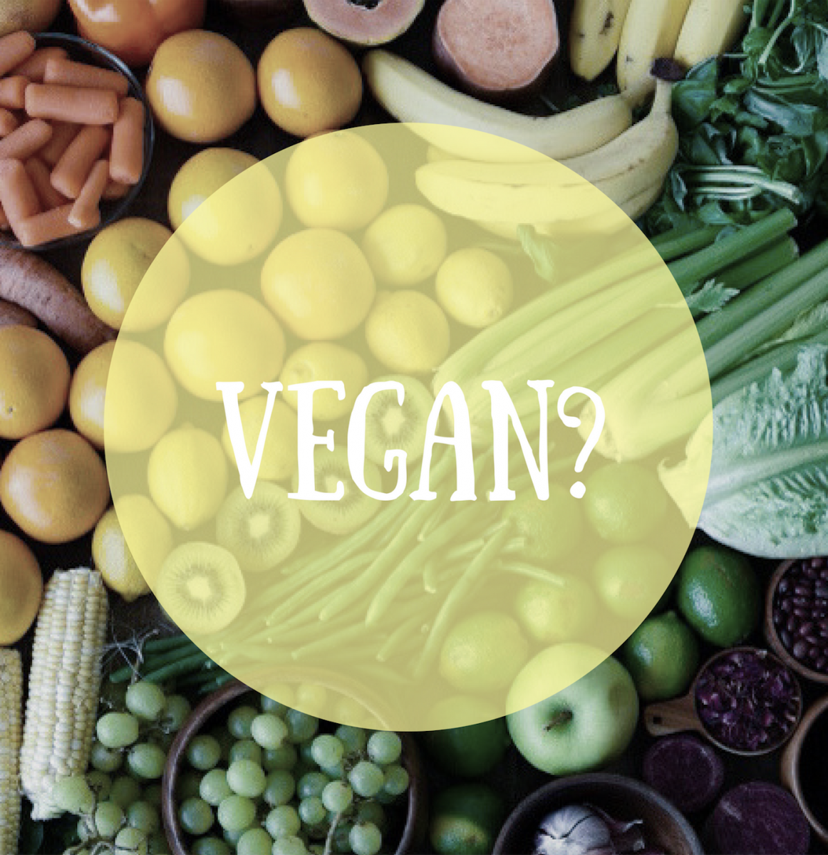 A Day in the Life of a Vegan – THE BEAR FACTS